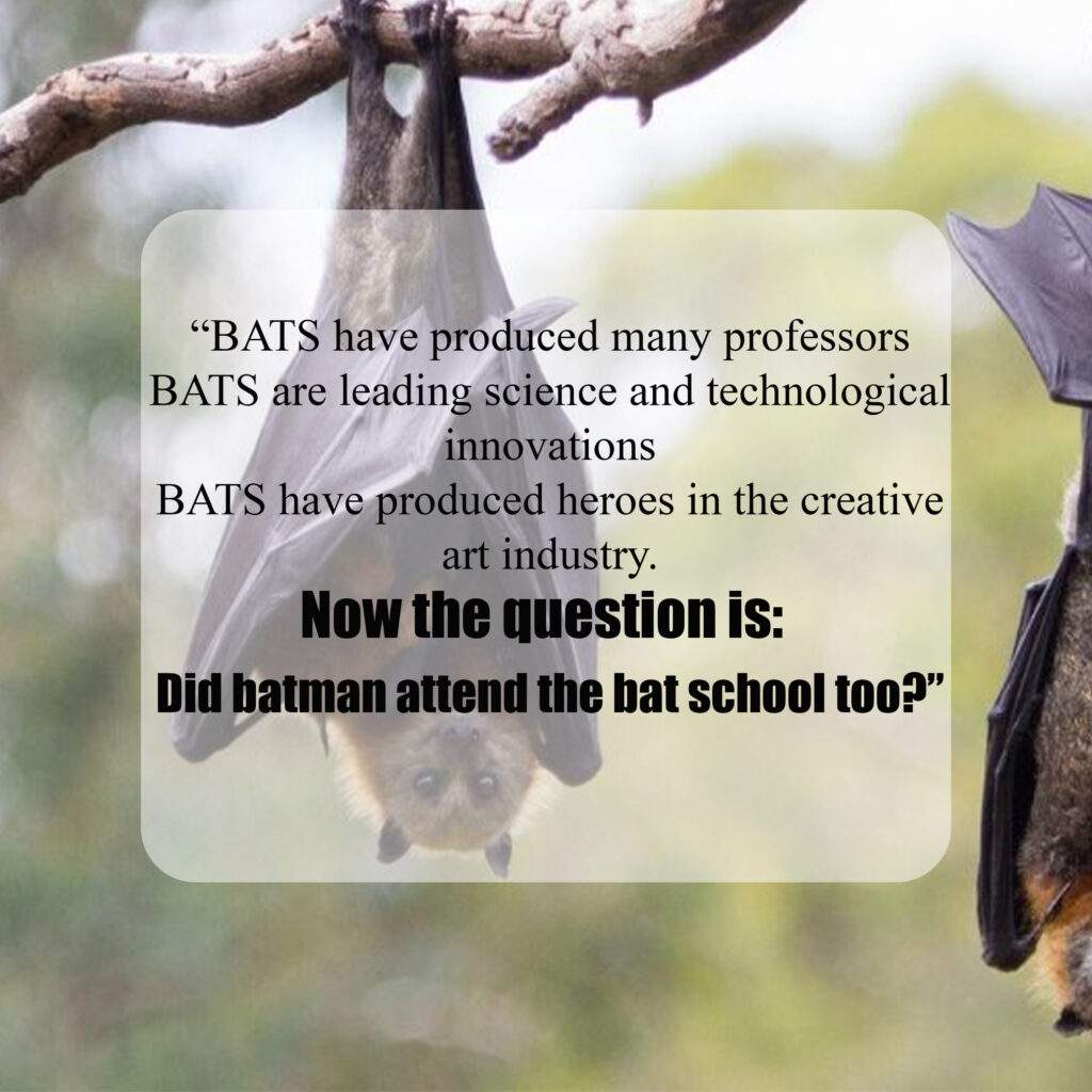 BATS AS PETS FOR ONLY THE SMARTEST PEOPLE! ALL YOU NEED TO KNOW ...